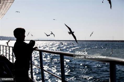 갈매기 배보드에 아이 복고풍 바푸르에 보스포러스 해협에 바다 항해 갈매기와 승객과 바다 풍경 갈매기에 대한 스톡 사진 및 기타