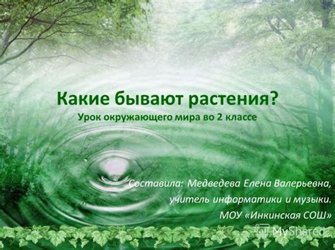 Презентация По Окружающему Миру 1 Класс Растения И Животные Unbound