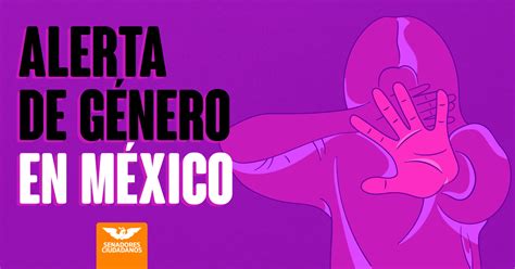 Declaración De Alerta De Género A Nivel Nacional Senadores Ciudadanos