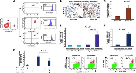 Functional Interaction Of Plasmacytoid Dendritic Cells With Multiple