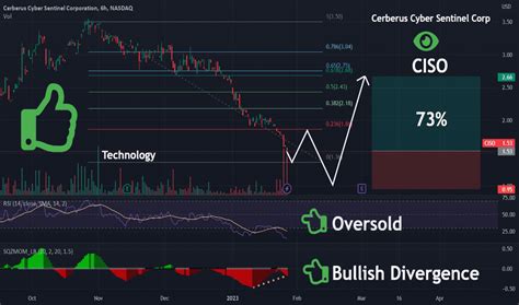CISO Stock Price And Chart NASDAQ CISO TradingView