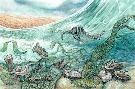 Cambrian By Banvivirie On Deviantart