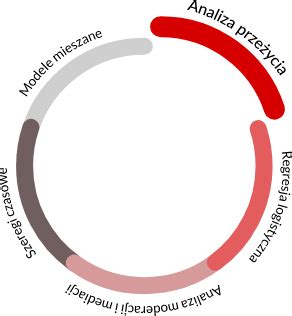Przykładowe raporty Statystyczne