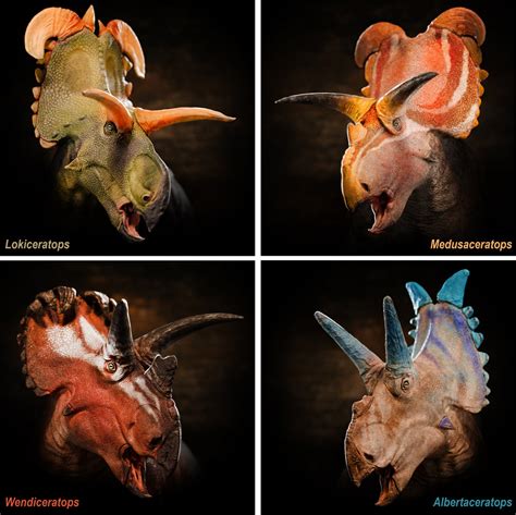 Lokiceratops 4g Scinexx Das Wissensmagazin