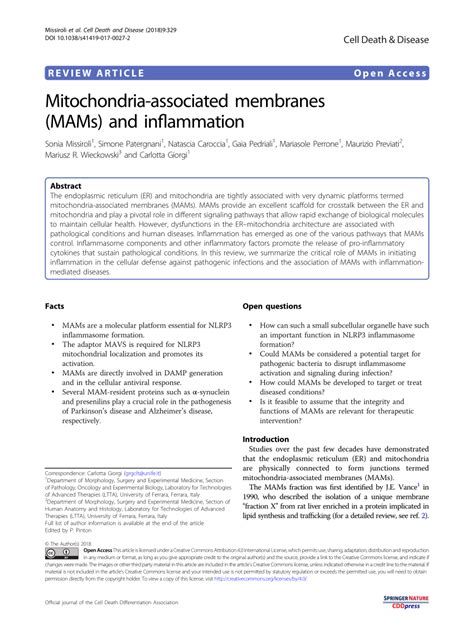 Pdf Mitochondria Associated Membranes Mams And Inflammation