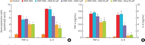 Figure 4 From Oleanolic Acid Acetate Inhibits Mast Cell Activation In