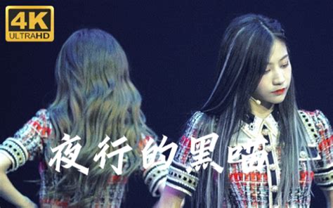 【黑喵】【4k120fps】snh48第八届总选top16杭州巡演《夜行的黑猫》双人focus哔哩哔哩bilibili