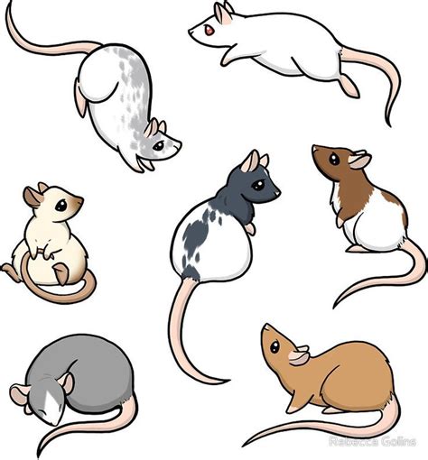 Learn To Draw A Cute Chibi Rat With These Helpful Tools