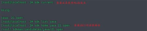 使用sdkman在linux系统上安装jdk linux安装sdkman csdn博客