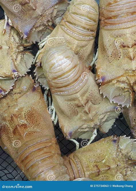 Seafood Sold In Sai Kung New Territories Hong Kong Stock Image Image
