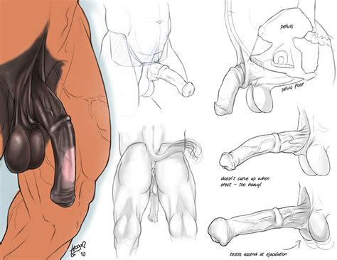 Rule 34 1boy 2010 Abs Anatomy Anthro Anus Ass Backsack Balls Bone