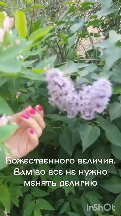 Таинство Богоявления Youtube