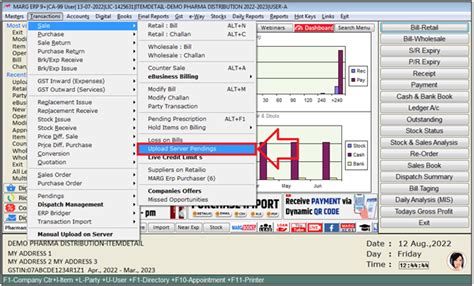 How To Upload Invoices Through Server In Marg Software