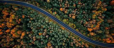 Embed Margin Improvement Interpath