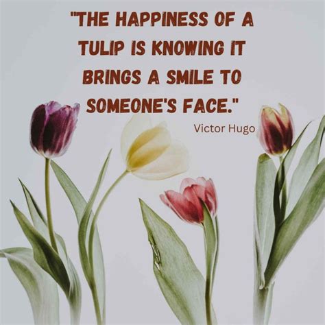 200 Beautiful Tulip Quotes And Instagram Captions Simplybeyondherbs