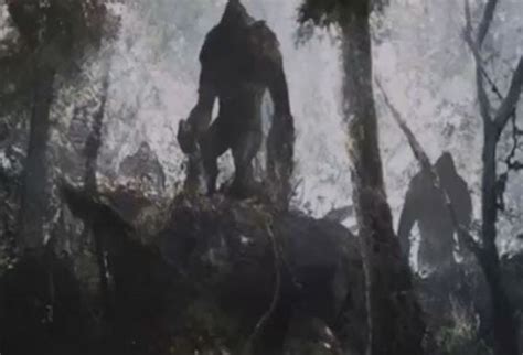 Bizarre And Frightening Accounts Of Bigfoot Attacks