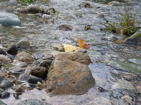 Free Images Water Rock Wilderness River Pond Wildlife Stream