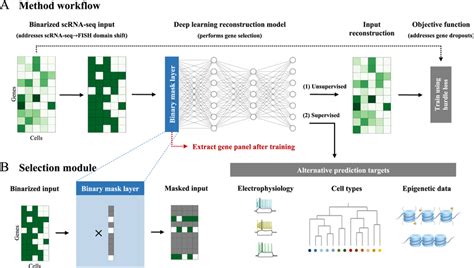 Overview Of Predictive And Robust Gene Selection For Spatial Download Scientific Diagram