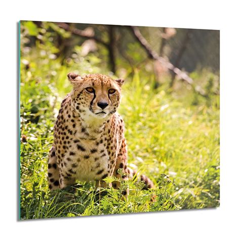 ArtprintCave Gepard trawa krzaki do łazienki Foto szklane 60x60 cm