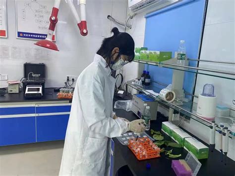 仪征市场监管局开展食品安全专项快检 护航高考期间食品安全地方食安观察