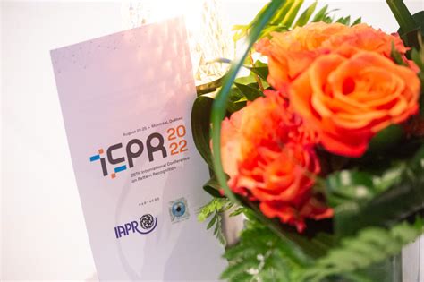 International Conference On Pattern Recognition International Association For Pattern Recognition