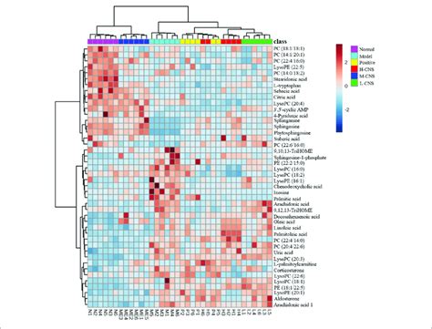 Heatmap Of Potential Biomarker Intensities In Different Groups