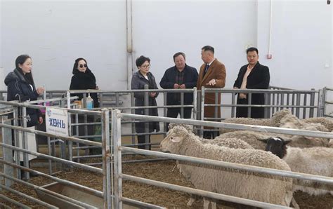 Дархан Уул Дархан Уул Иргэдийн Төлөөлөгчдийн Хурал