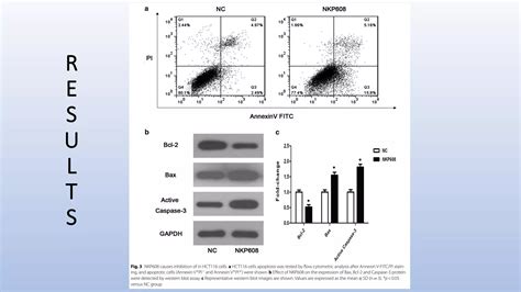 The Nk1 Receptor Antagonist Nkp608 Inhibits Proliferation Of Colorectal