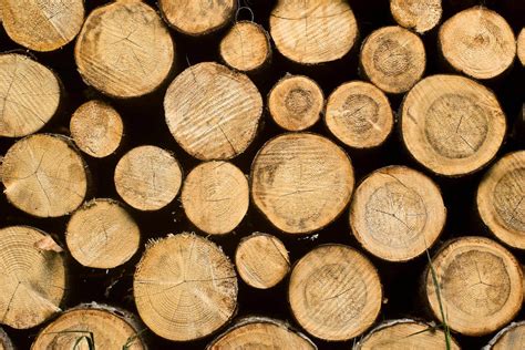 如何在 Linux 中管理日志 Linuxstory