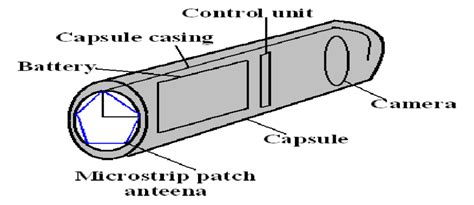 Diagram Of Endoscopy Capsule System Download Scientific Diagram