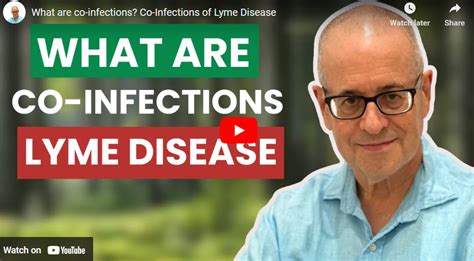 What Are Co Infections Co Infections Of Lyme Disease Daniel Cameron Md
