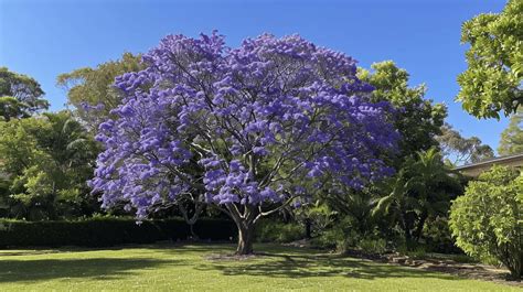 How To Grow And Care For Burning Bush