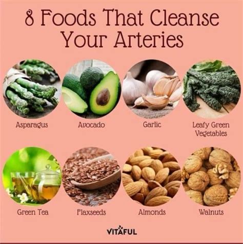 Artery Cleansing Foods Artofit