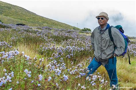 Ravi Chellam On Linkedin Indias Foremost Wildlife Biologist And Conservation Activist A J T…