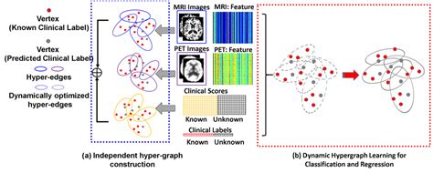 Dynamic Hyper Graph Inference Framework For Computer Assisted Diagnosis