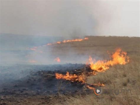 Хээрийн түймрийг унтраахаар ажиллаж байна