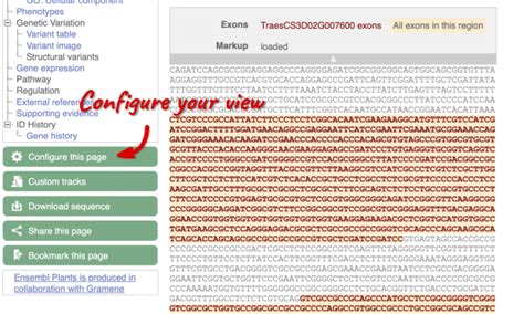 Genes And Transcripts In Ensembl Plants Demo
