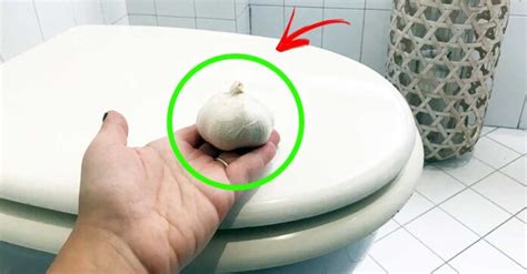 Perché dovresti mettere l aglio nel water Vivo di Benessere