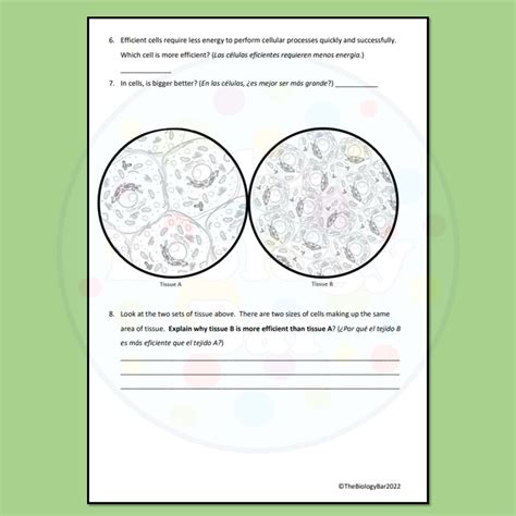 ESL Biology Cell Size Worksheet Made By Teachers Worksheets Library