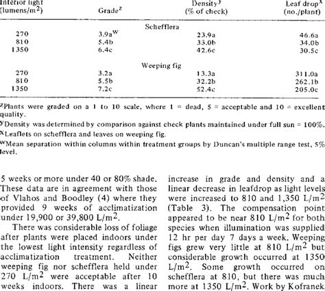 Influence Of Interior Light Levels On Light Acclimatized Foliage Plants