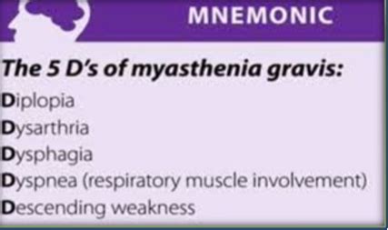 Myasthenia Gravis Flashcards Quizlet