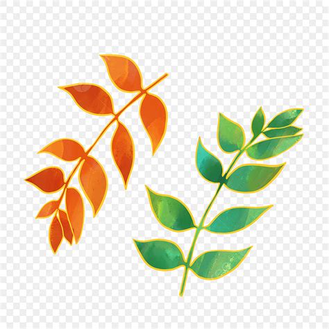 Planta Hoja De Oro Dibujo Lineal Hoja Verde Hoja Roja PNG Dibujo De