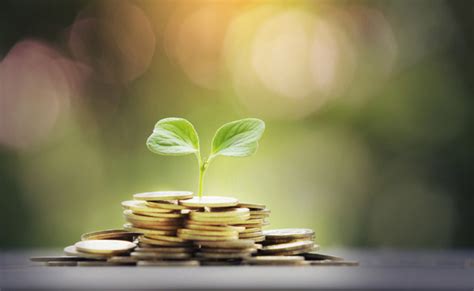 Comparer les livrets de développement durable et solidaire LDDS