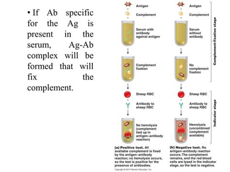 Antibodyantigenreactionspptx Antigen Antibody Reactions Pptx