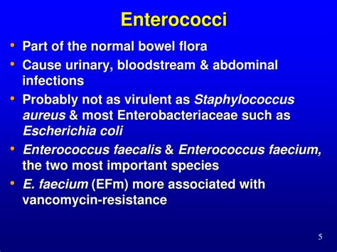 Screening For Vancomycin Resistant Enterococci Vre Why Bother Ppt
