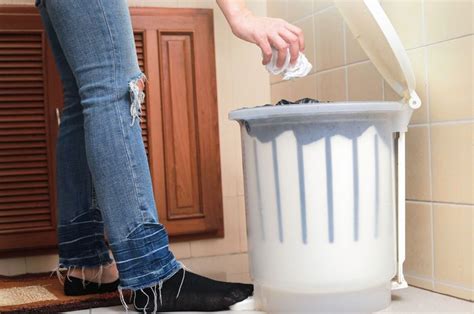 Cara Menghilangkan Bau Tak Sedap Di Tempat Sampah Pakai Pasir Kucing