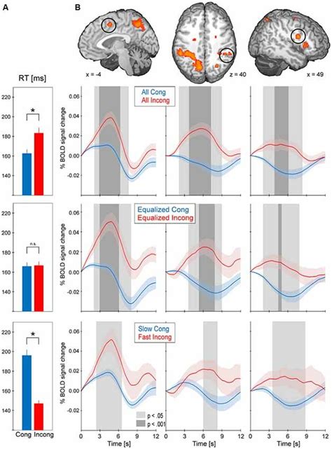 the results from event triggered averaging bold data was extracted