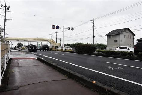 🚨迷い犬を保護しようとしていた女性がはねられ死亡 被告はスマホで脇見運転、ドラレコ改ざんも 裁判で隠蔽判明 群馬・高崎市のひき逃げ死亡事件