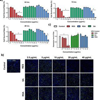 Characterization Of The Materials And Drugs A Structural Simulation Download Scientific