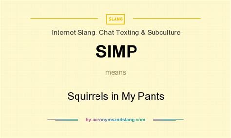 SIMP Squirrels In My Pants In Internet Slang Chat Texting